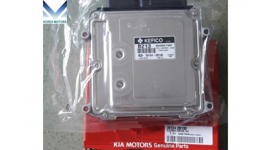 MOBIS ECU SET FOR KIA CERATO FORTE SHUMA KOUP 2008-13