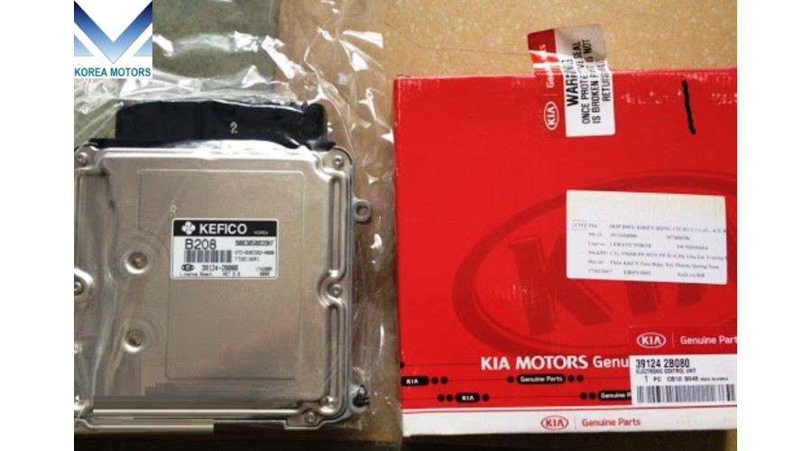 MOBIS ECU SET FOR KIA CERATO FORTE SHUMA KOUP 2008-13